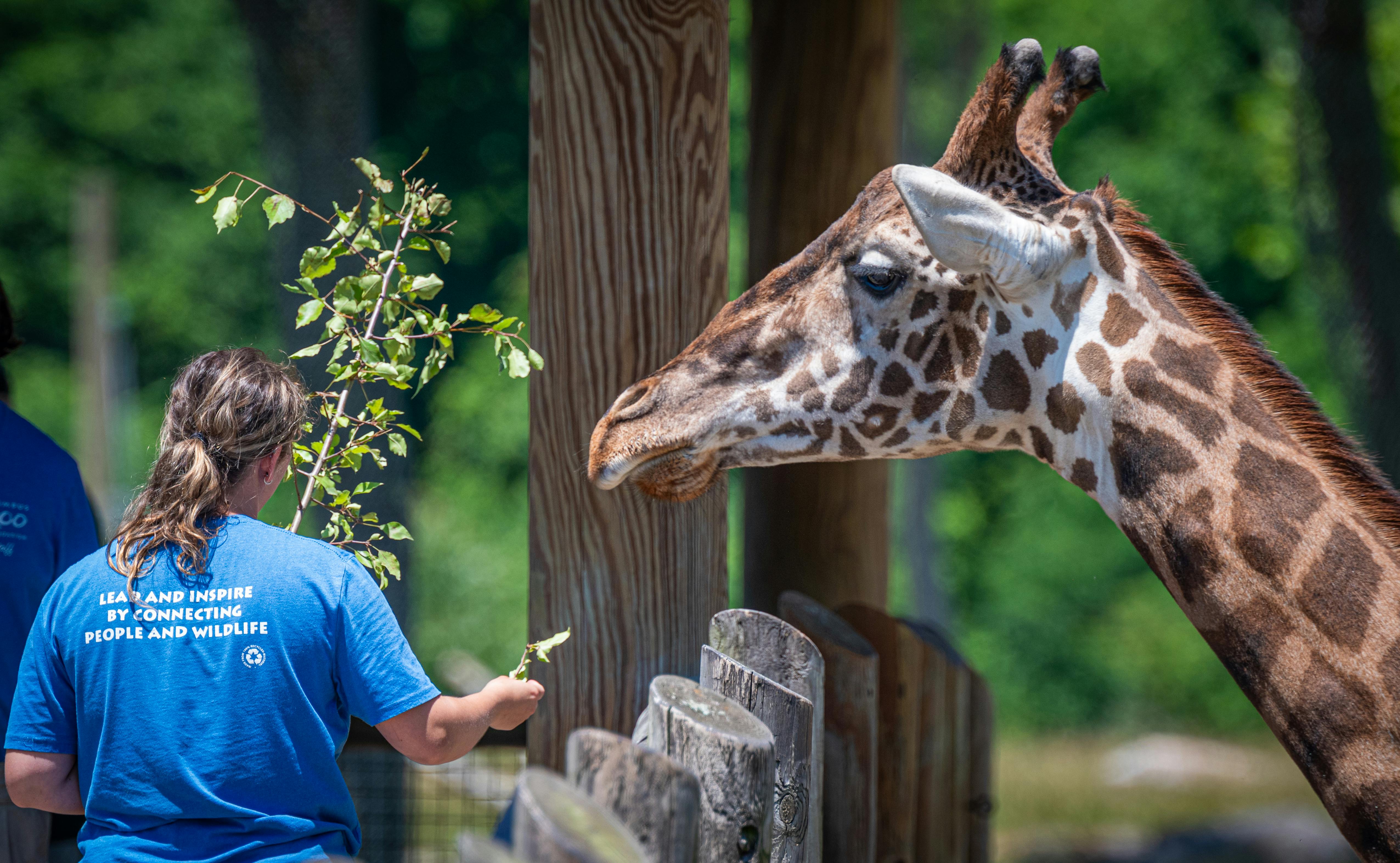 Environmental Regulations to Sustainability in Zoos and Aquariums ...